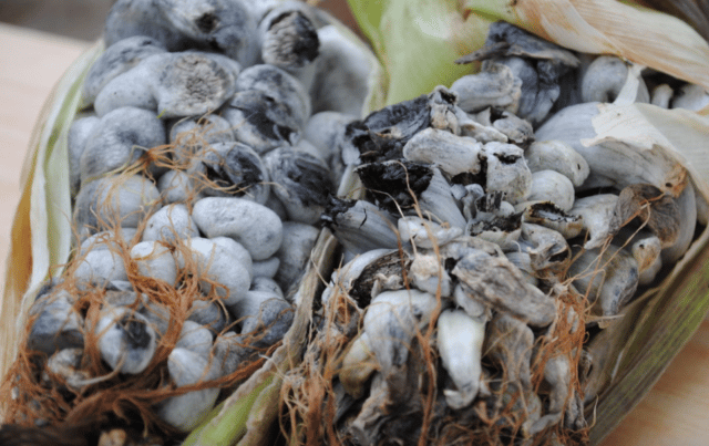 13 of the Weirdest Foods You Can Try Around the World