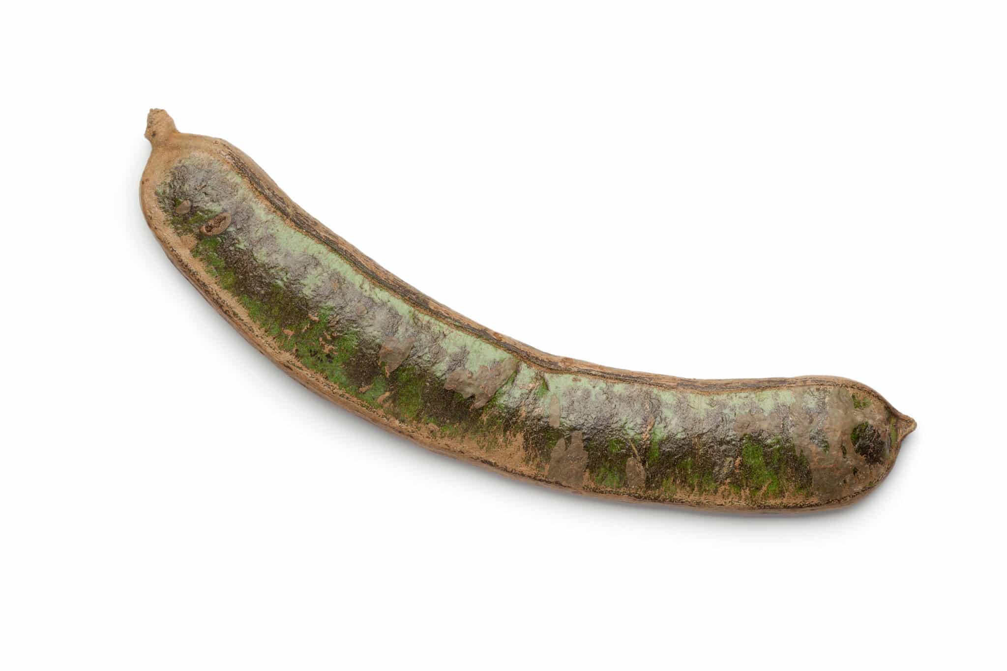 39 Exotic South American Fruits Every Traveler Must Try (+ Health Tips ...