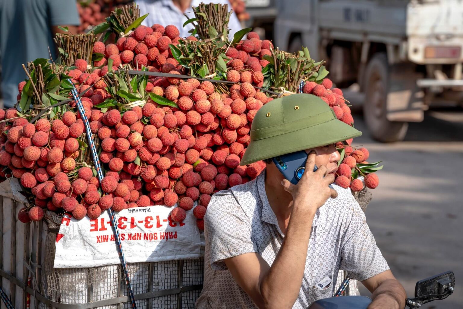 30 Exotic Asian Fruits Every Traveler Must Try (+ Health Tips)! - Air ...
