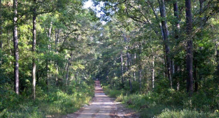 18 Best Places For Dispersed Camping In The US - Air Doctor