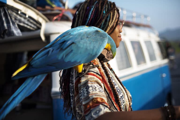 Traveling With Pets – Everything You Need To Know - Air Doctor